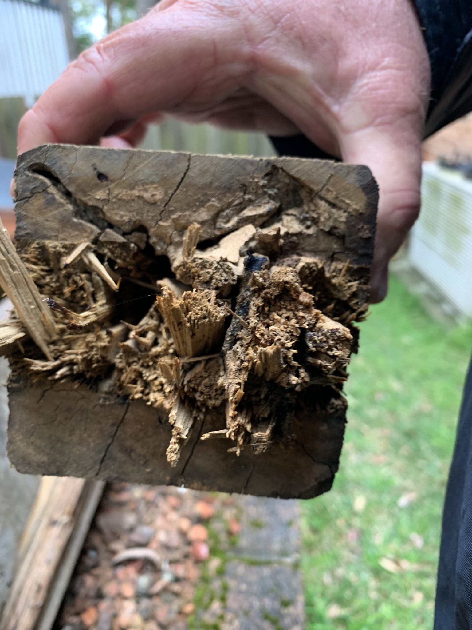 Termite attack in a veranda post in a house in Picton - Pestgo