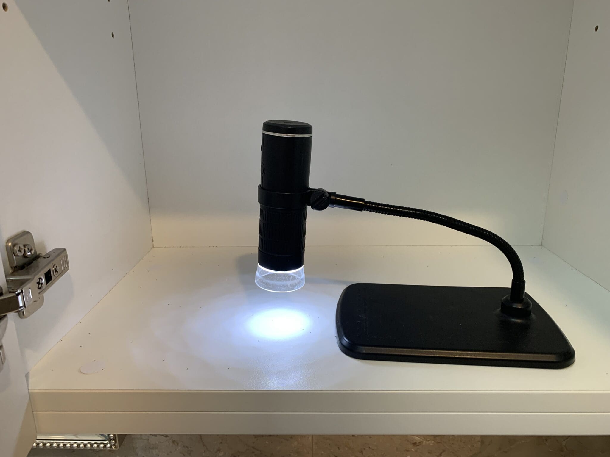 Booklice like high moisture areas